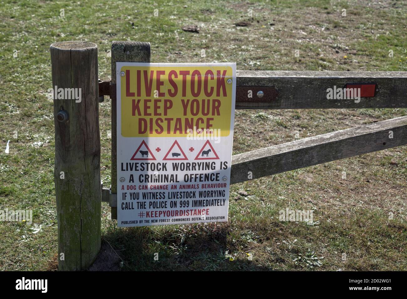 Sheep worrying signs hi-res stock photography and images - Alamy