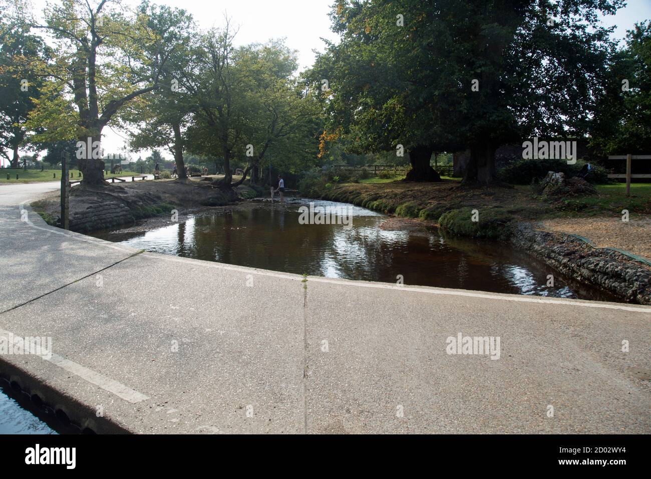 Rockford Common, Hampshire, England September 16th 2020, Cars may cross ...