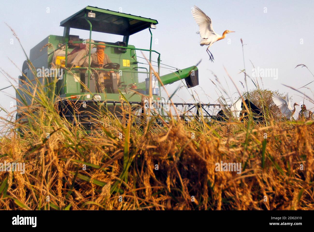 Indian combine harvester hi-res stock photography and images - Alamy
