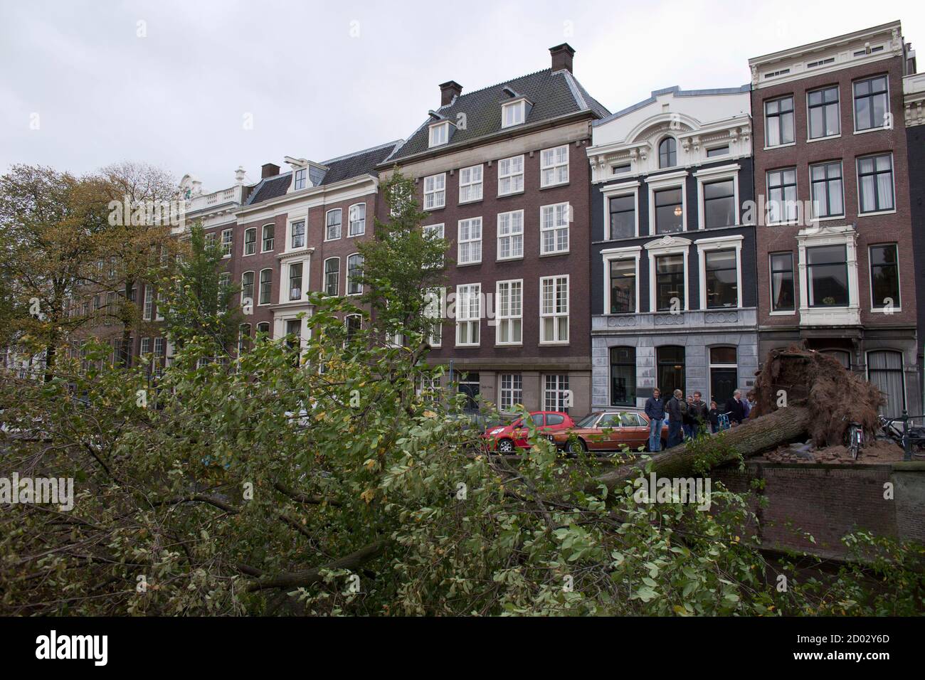 Woman killed by tree hi-res stock photography and images - Alamy