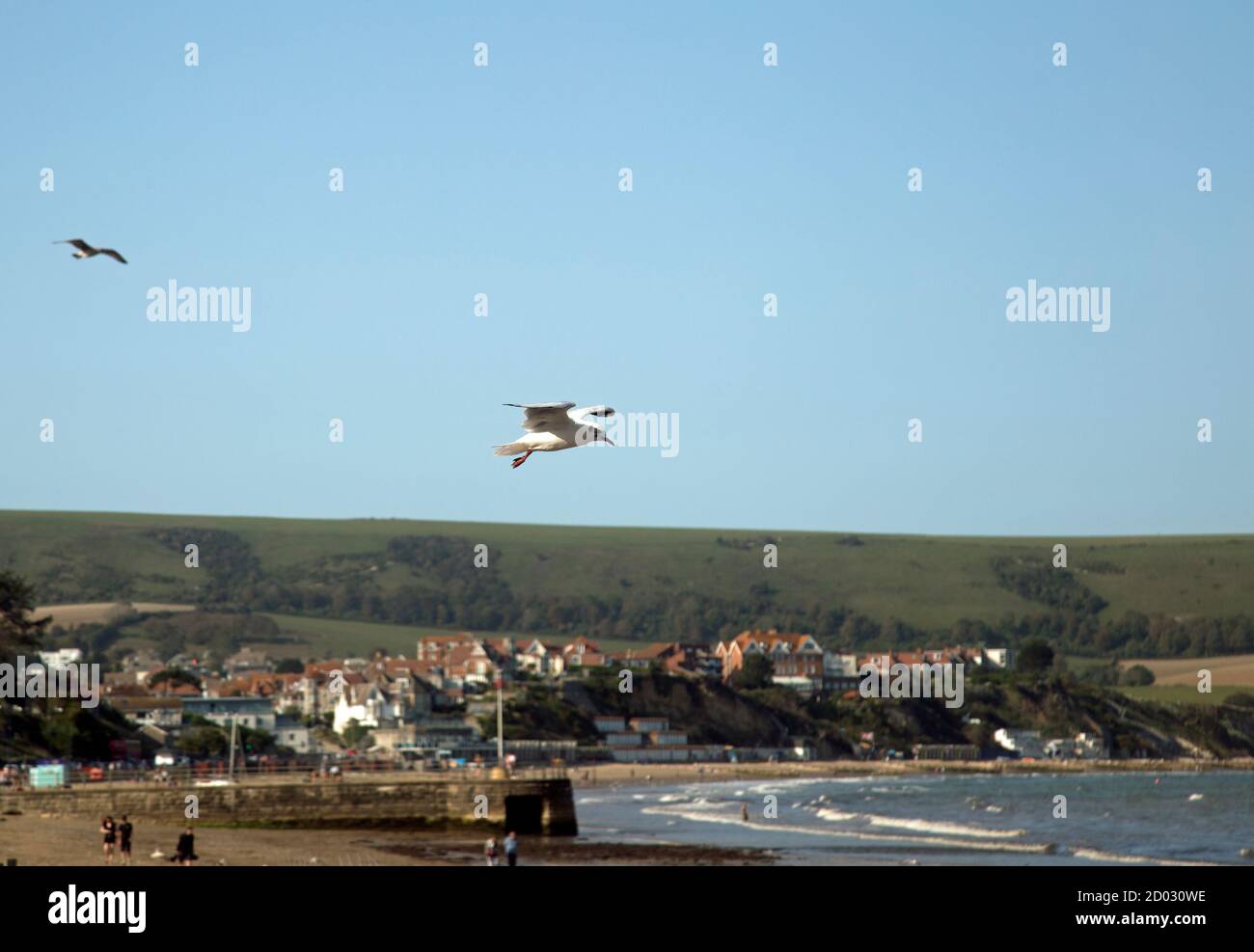 Catch The Wind High Resolution Stock Photography and Images - Alamy