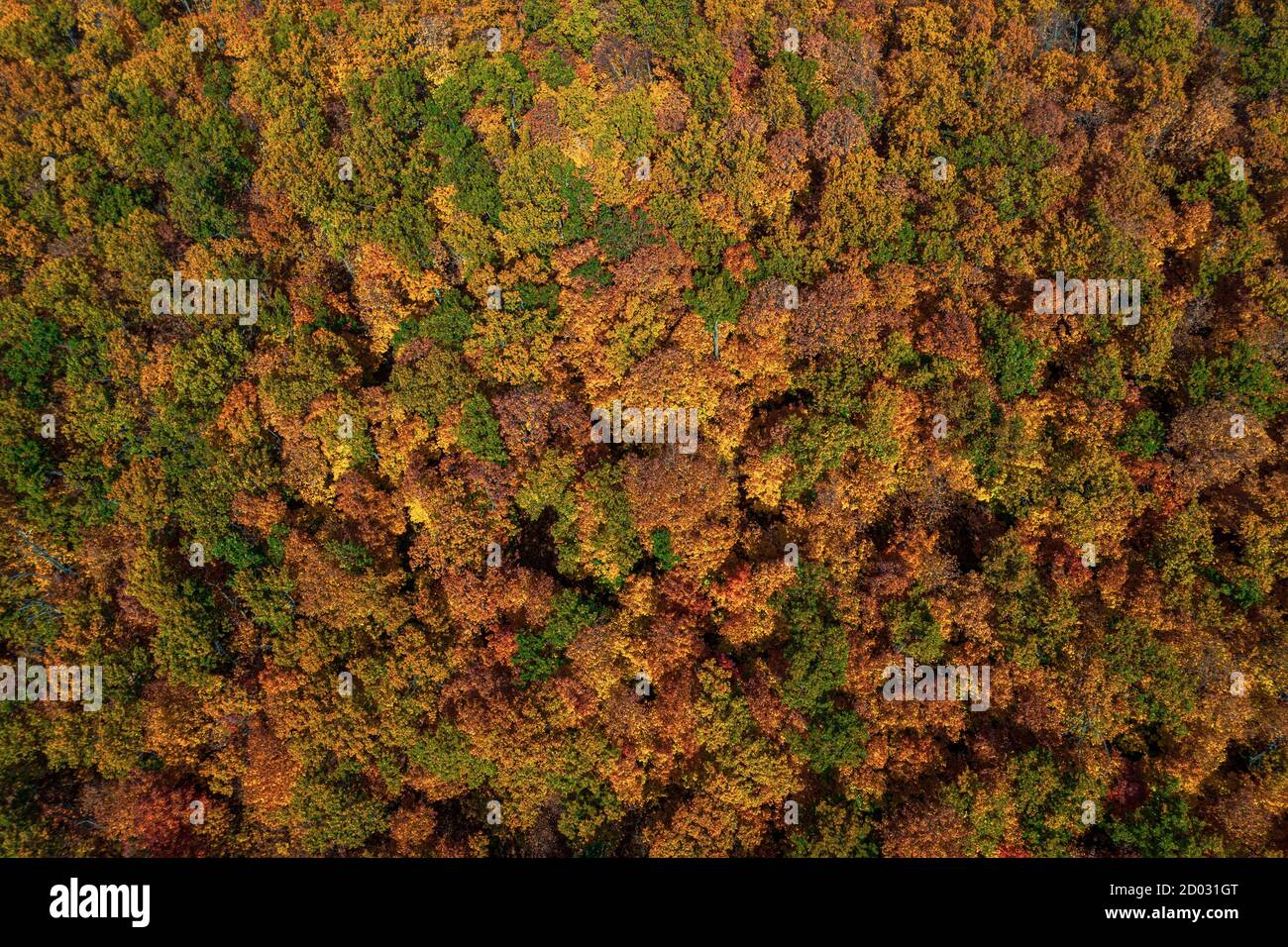 Ontario forest aerial view hi-res stock photography and images - Alamy