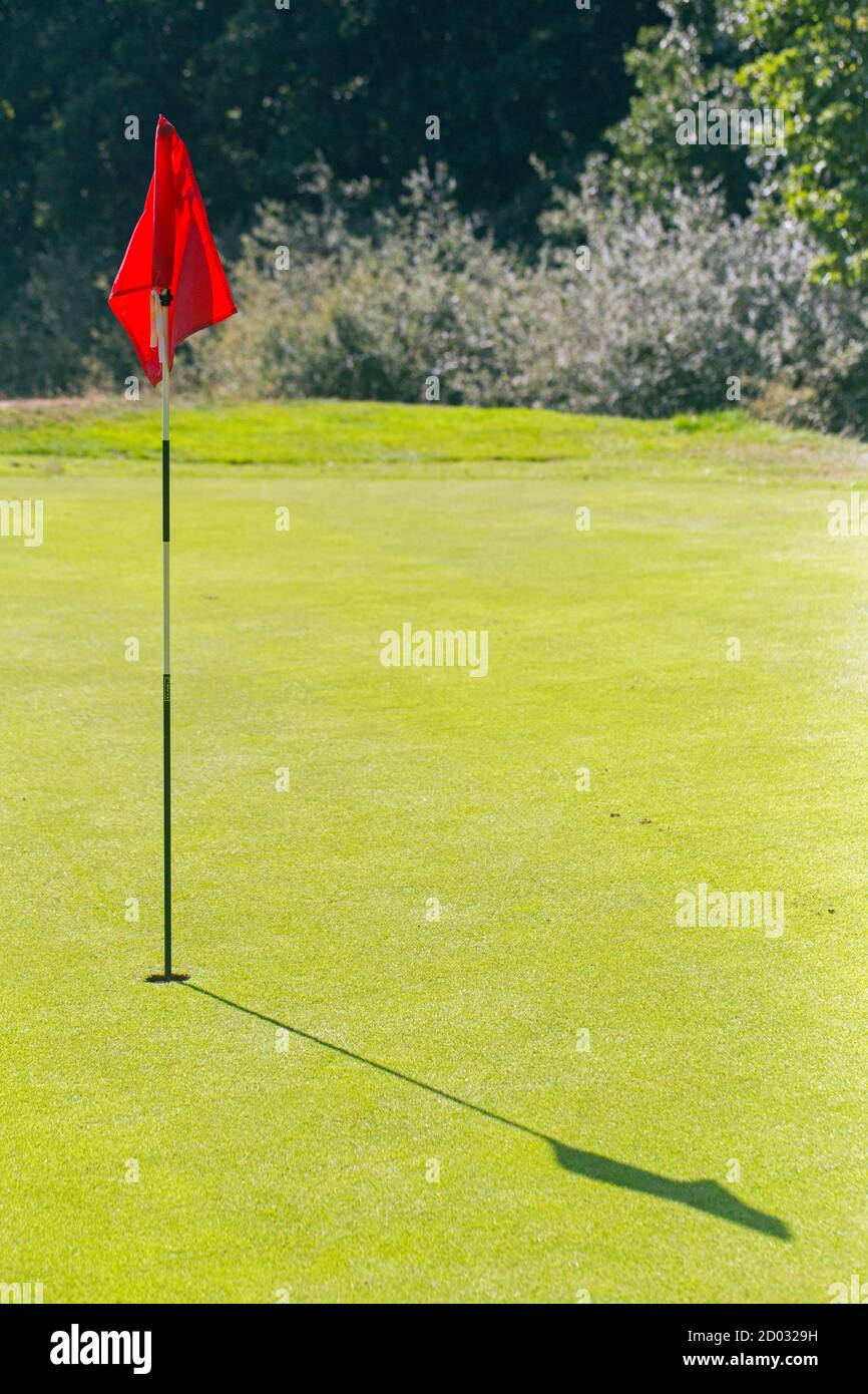 Portrait format photograph of a golf green with a pin and red flag to ...