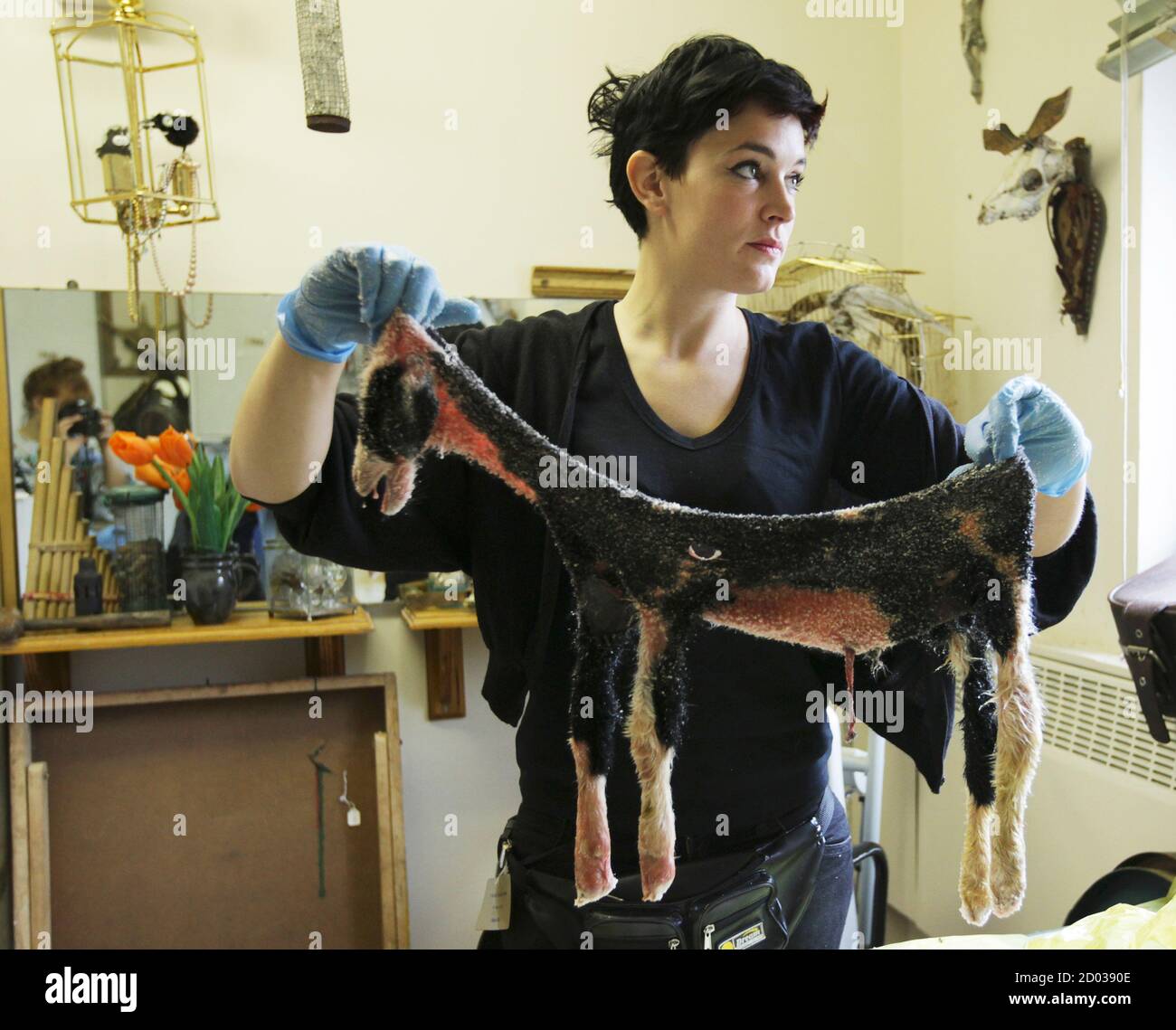 Skin renewal hi-res stock photography and images - Alamy