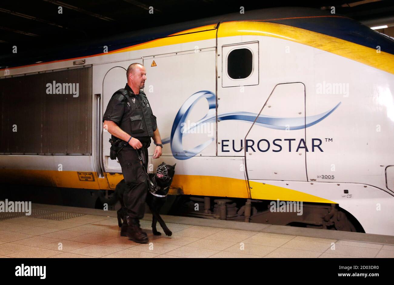 Can You Take A Dog On The Eurostar