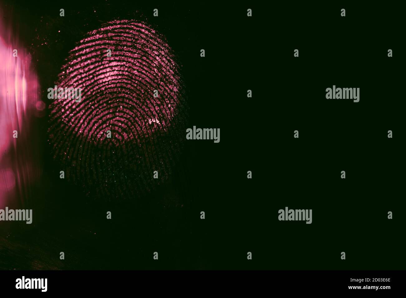 Close up beautiful abstract red colored fingerprint on background ...