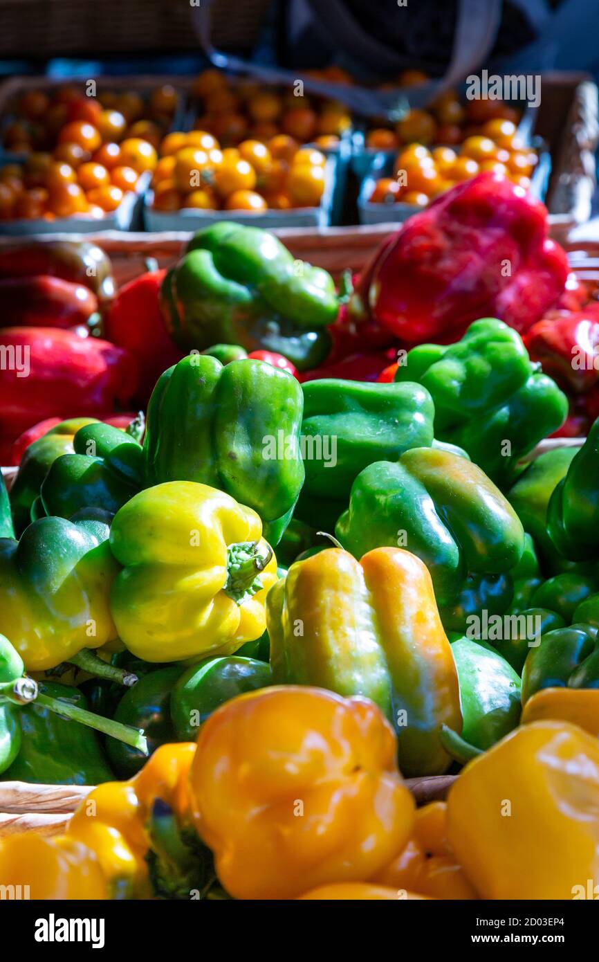 A display of colourful bell peppers for sale on a farmers market stall ...