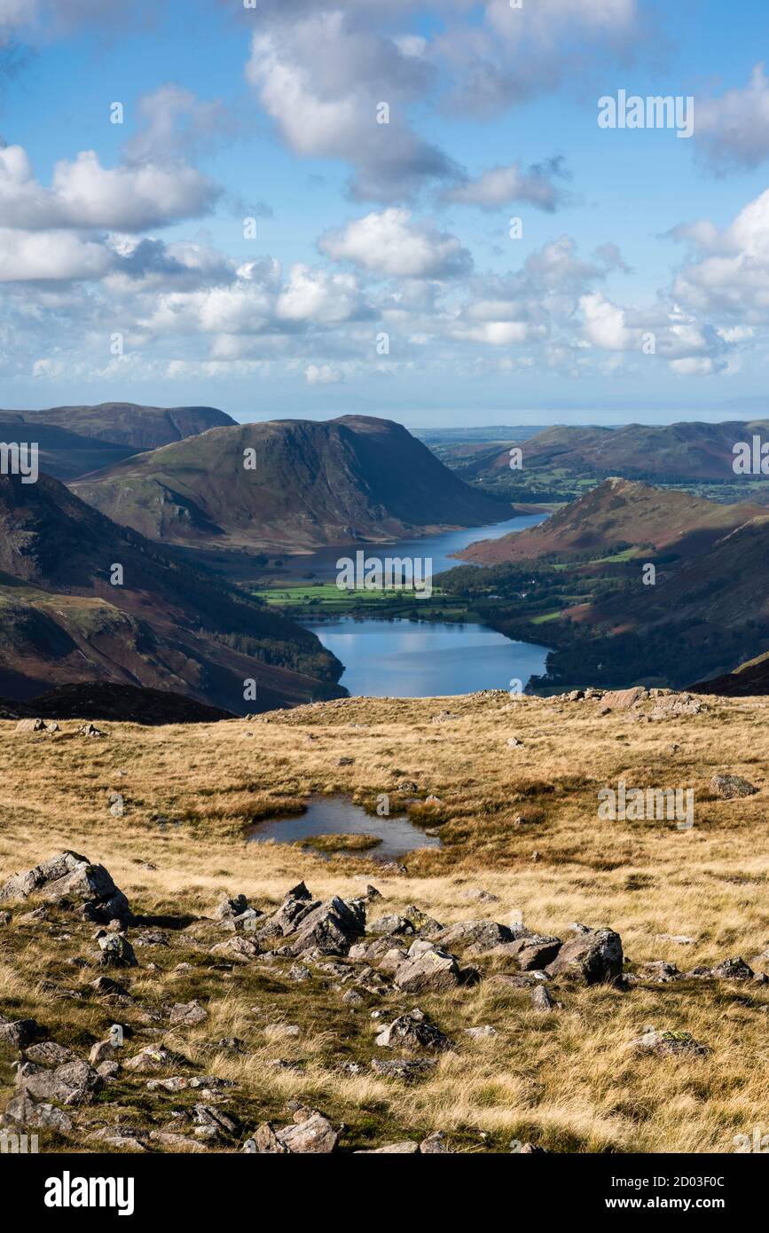 Brandreth hi-res stock photography and images - Alamy