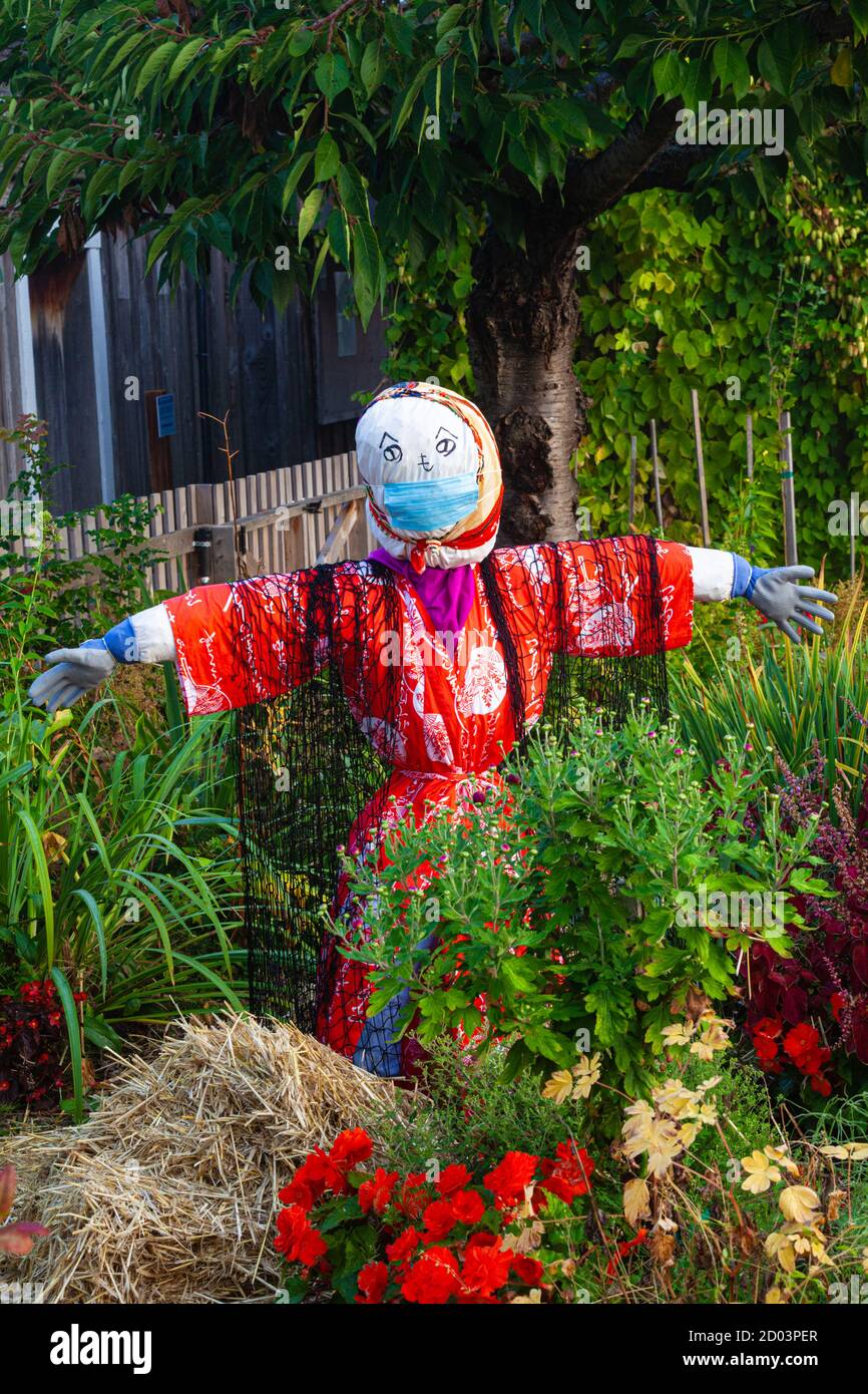 Scarecrow face hi-res stock photography and images - Alamy
