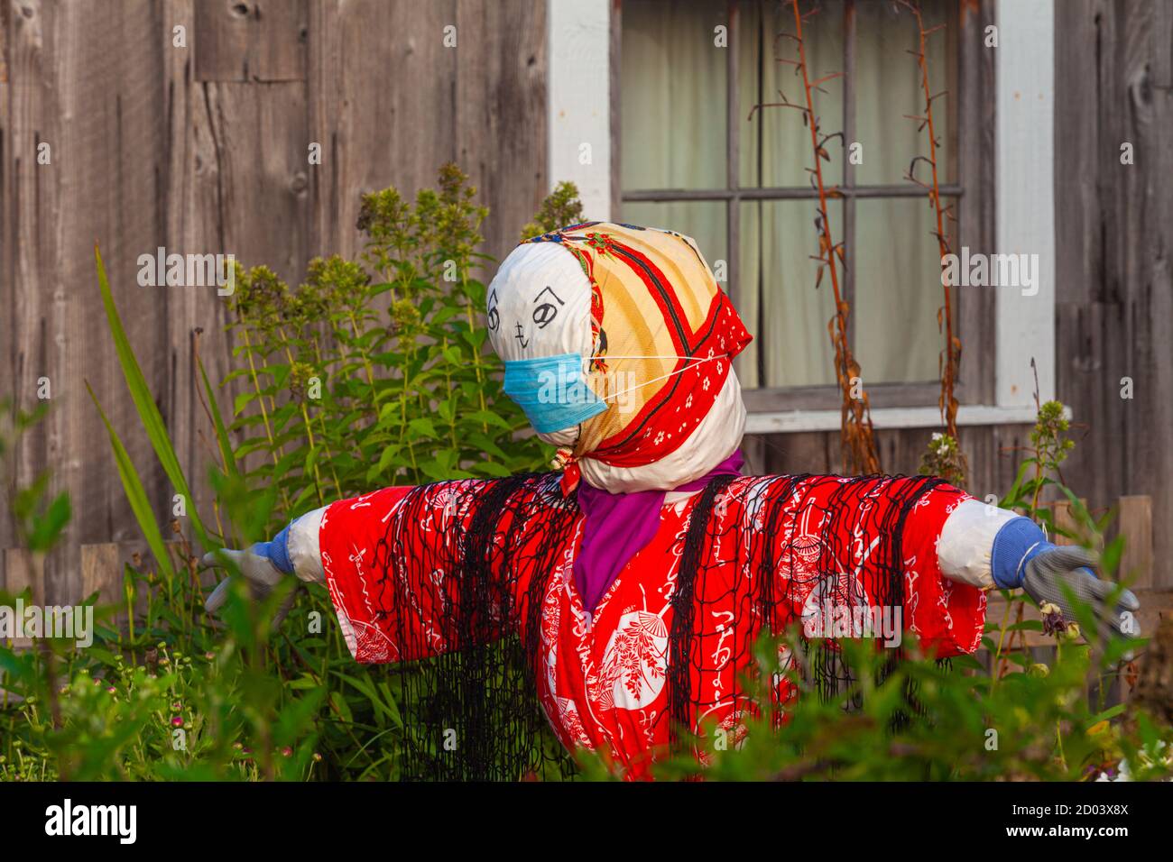 Halloween scarecrow dressed in a Japanese kimono with a face mask in ...