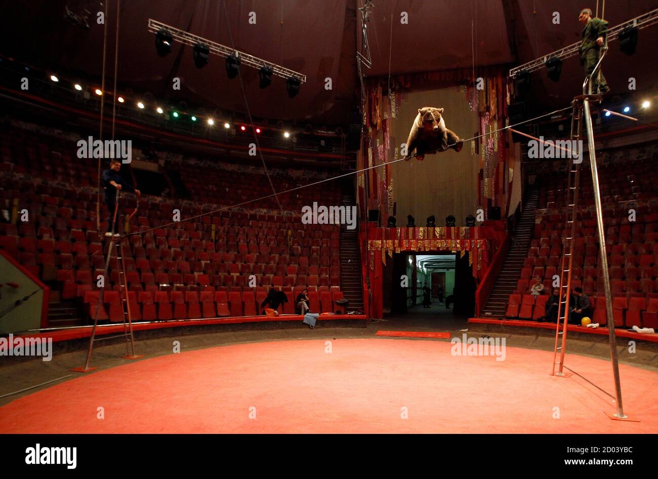 Moscow circus bear High Resolution Stock Photography and Images - Alamy