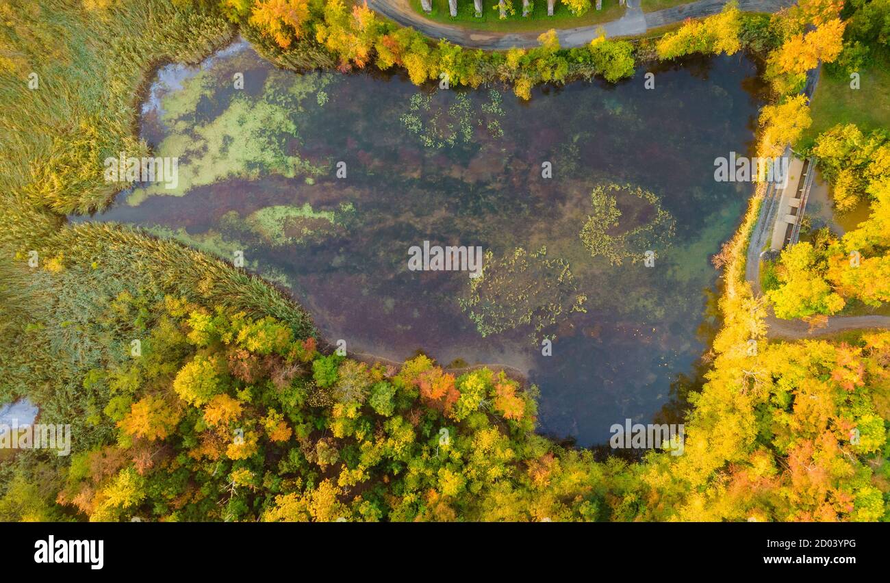 Top aerial view panorama a beautiful calm lake in the landscape of ...