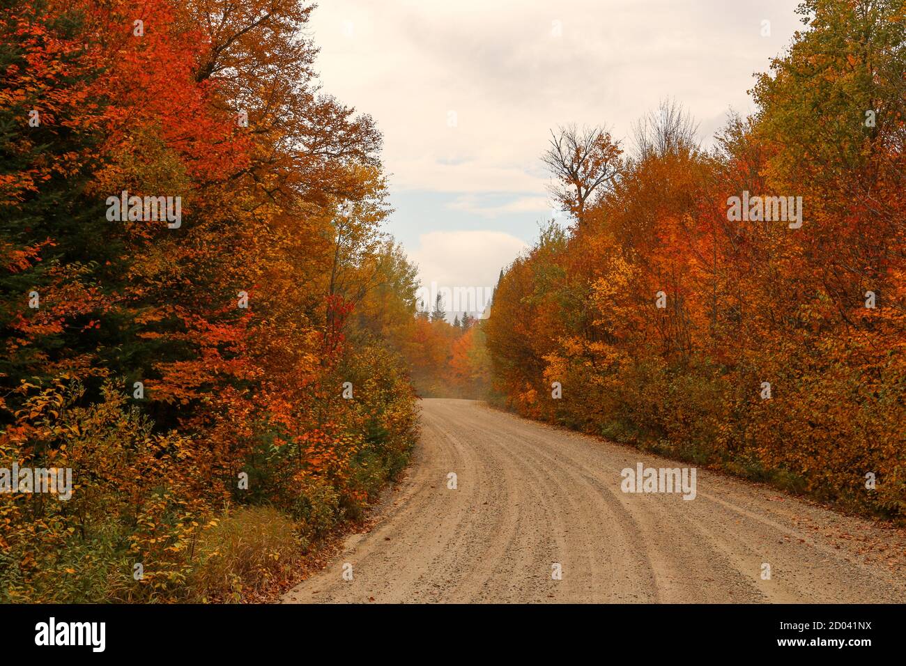 Full colors hi-res stock photography and images - Alamy