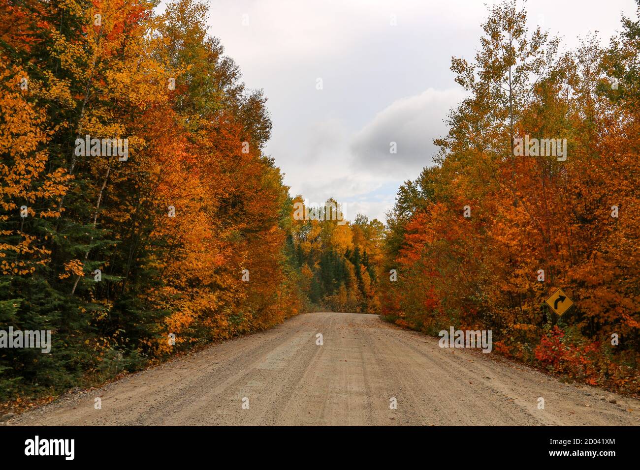 Autumn in full colors Stock Photo - Alamy