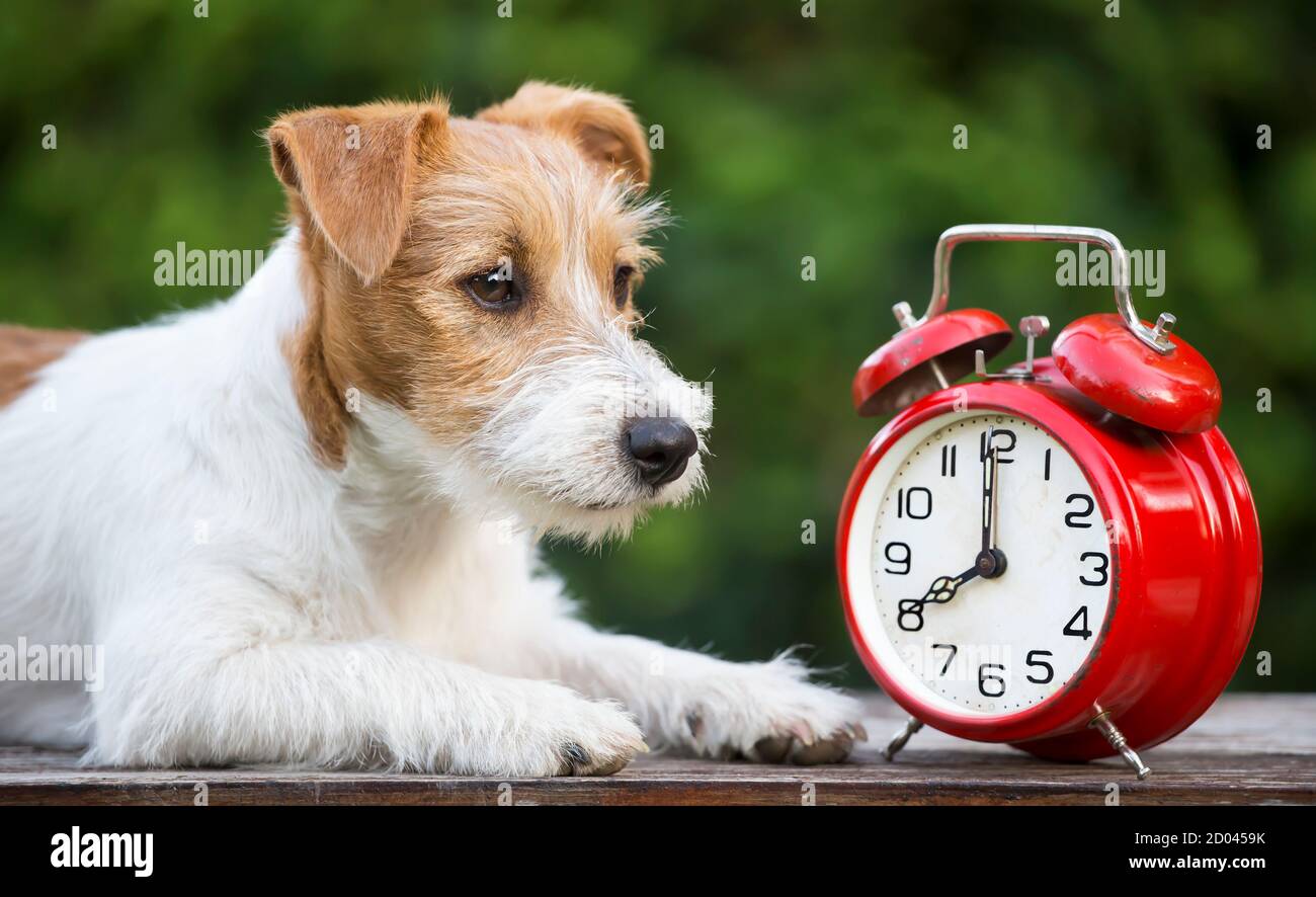 Manage time hi-res stock photography and images - Alamy