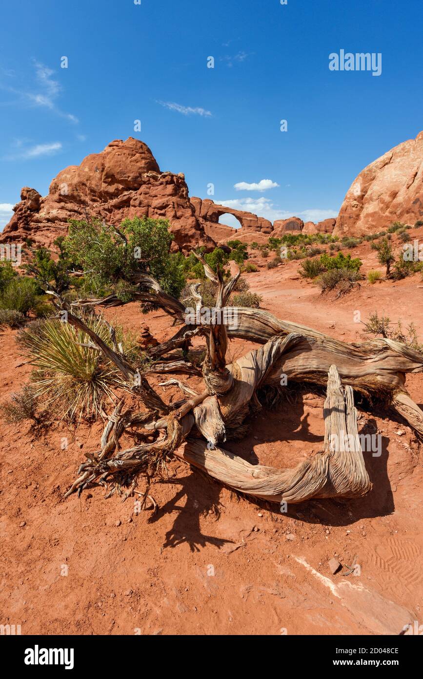 Skyline Arch, Arches Utah Stock Photo - Alamy
