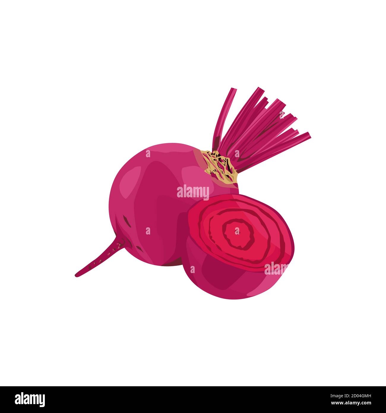 Isolated Beetroot vector design on White Background Stock Vector Image ...