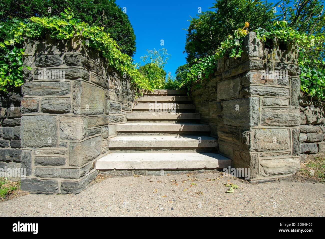 Long Cobblestone Steps With Overgrown Plants Surrounding Them Stock ...
