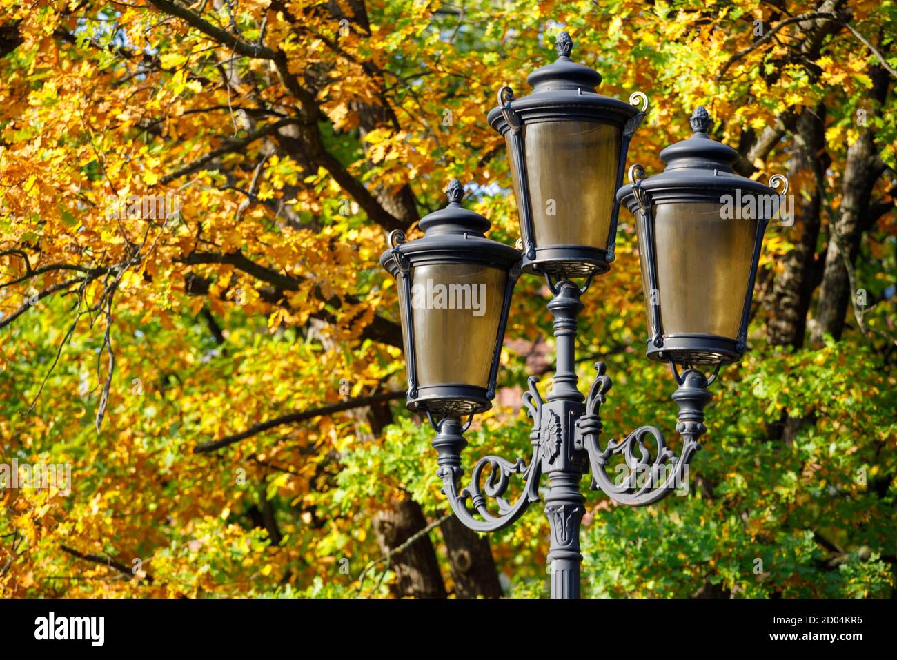 beautiful street lamp on a background of autumn leaves Stock Photo - Alamy