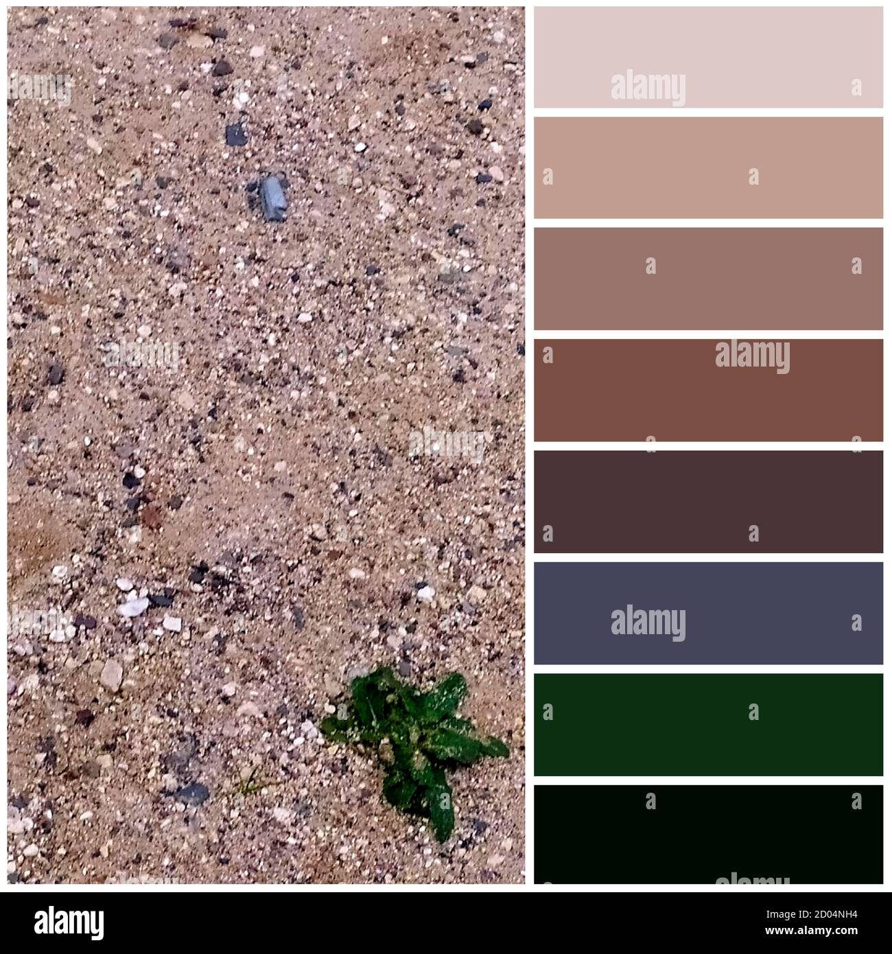 River sand close-up. The color palette coming from the image ...