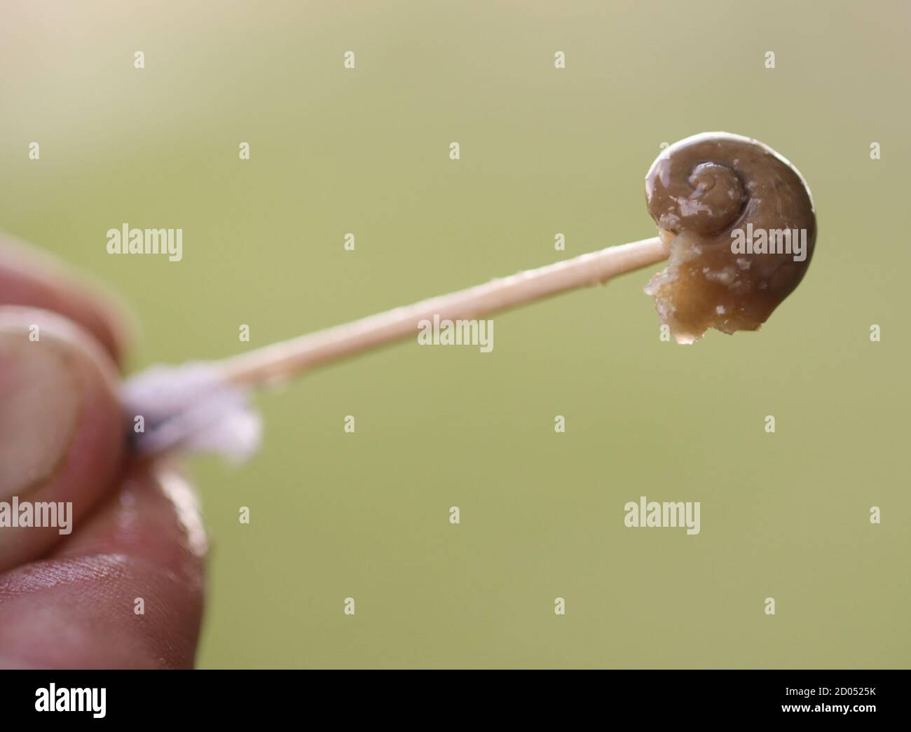 World gourmet society hi-res stock photography and images - Alamy