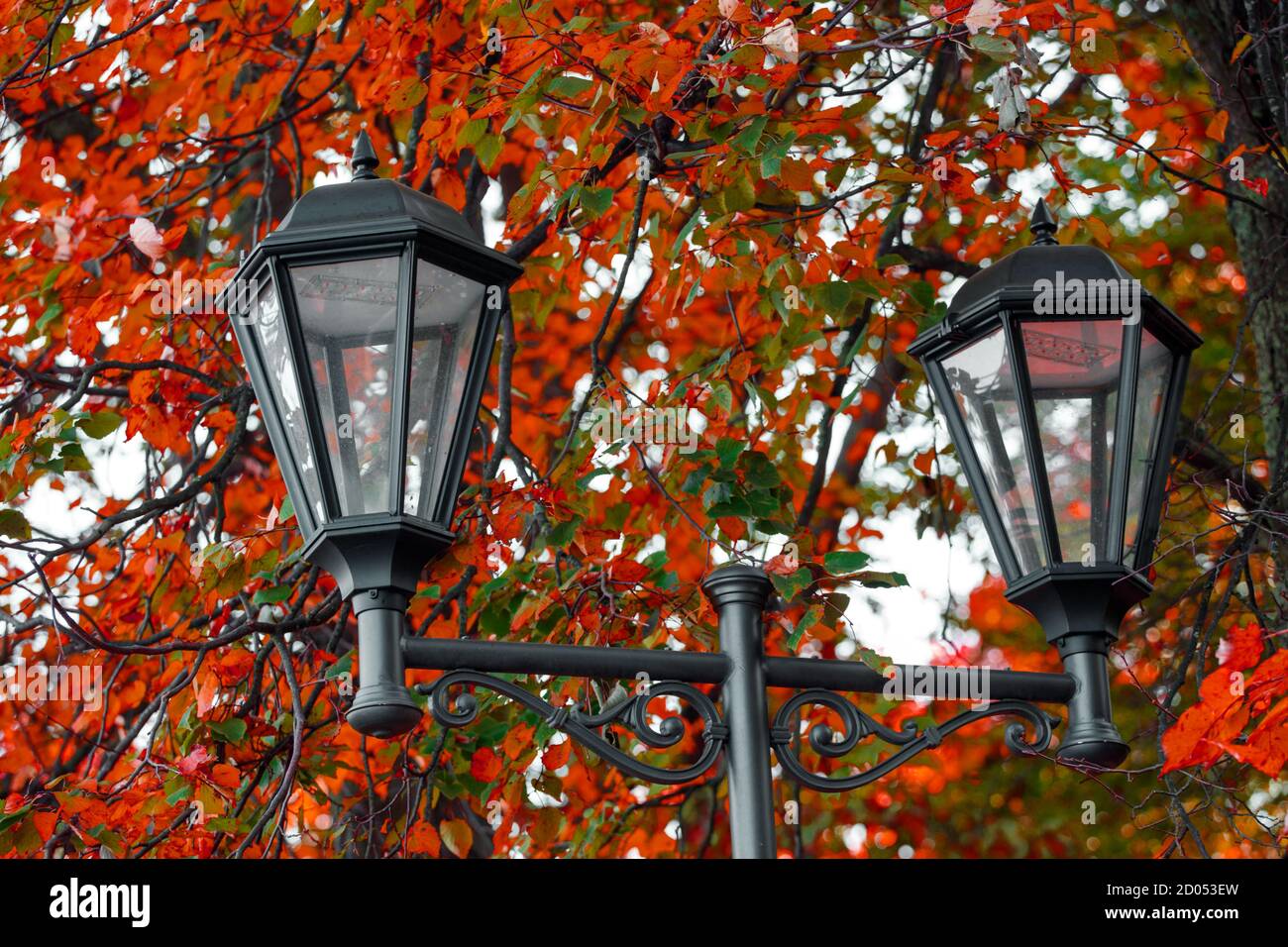 beautiful street lamp on a background of autumn leaves Stock Photo - Alamy