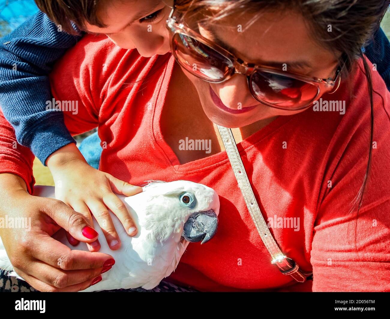 A woman and her young son holding and petting a white cockatoo Stock ...