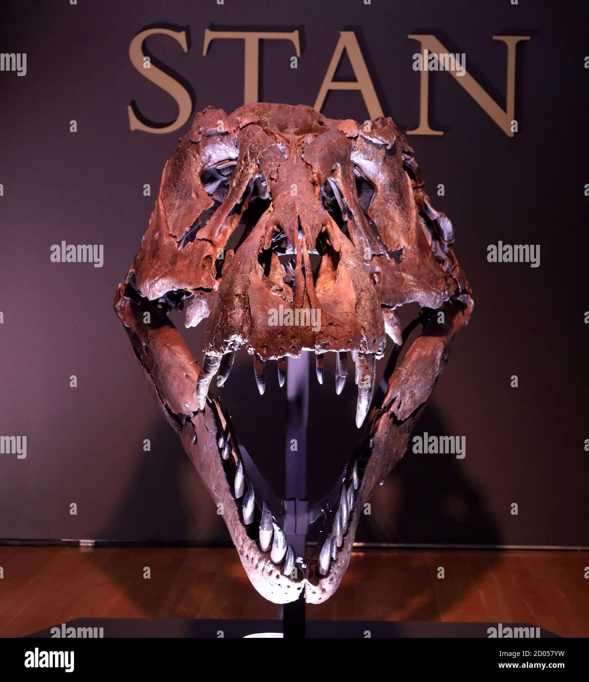 New York, New York, USA. 2nd Oct, 2020. A view of the original head of ...