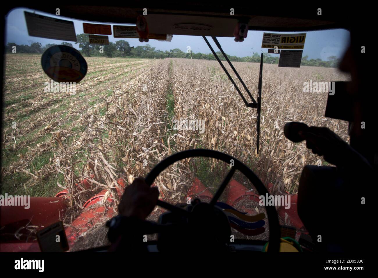 1920s cattle industry hi-res stock photography and images - Alamy