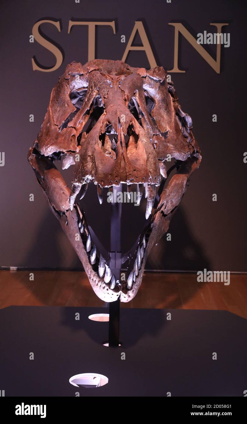 New York, New York, USA. 2nd Oct, 2020. A view of the original head of ...