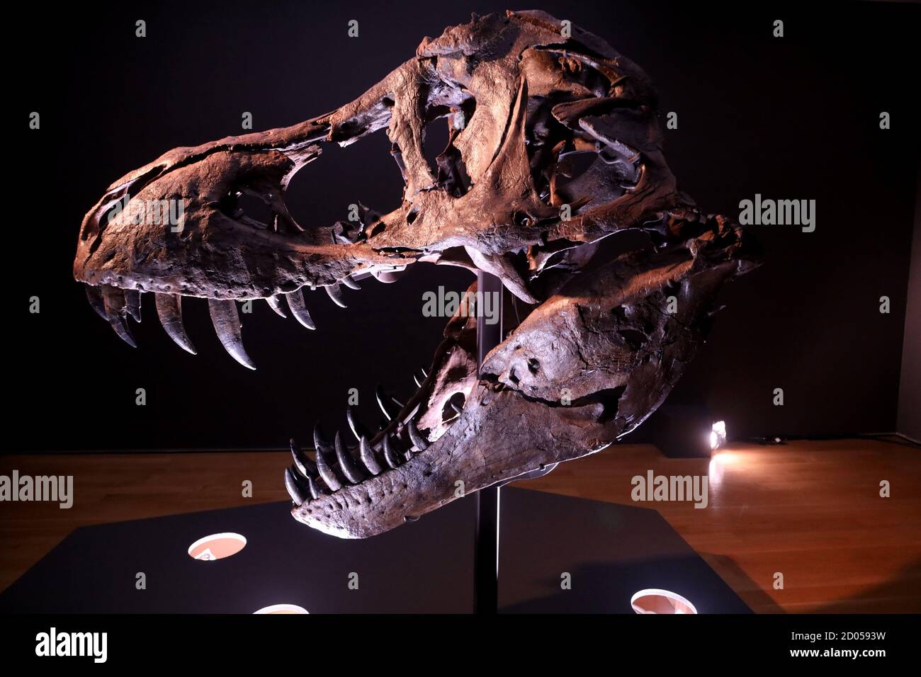 New York, New York, USA. 2nd Oct, 2020. A view of the original head of ...