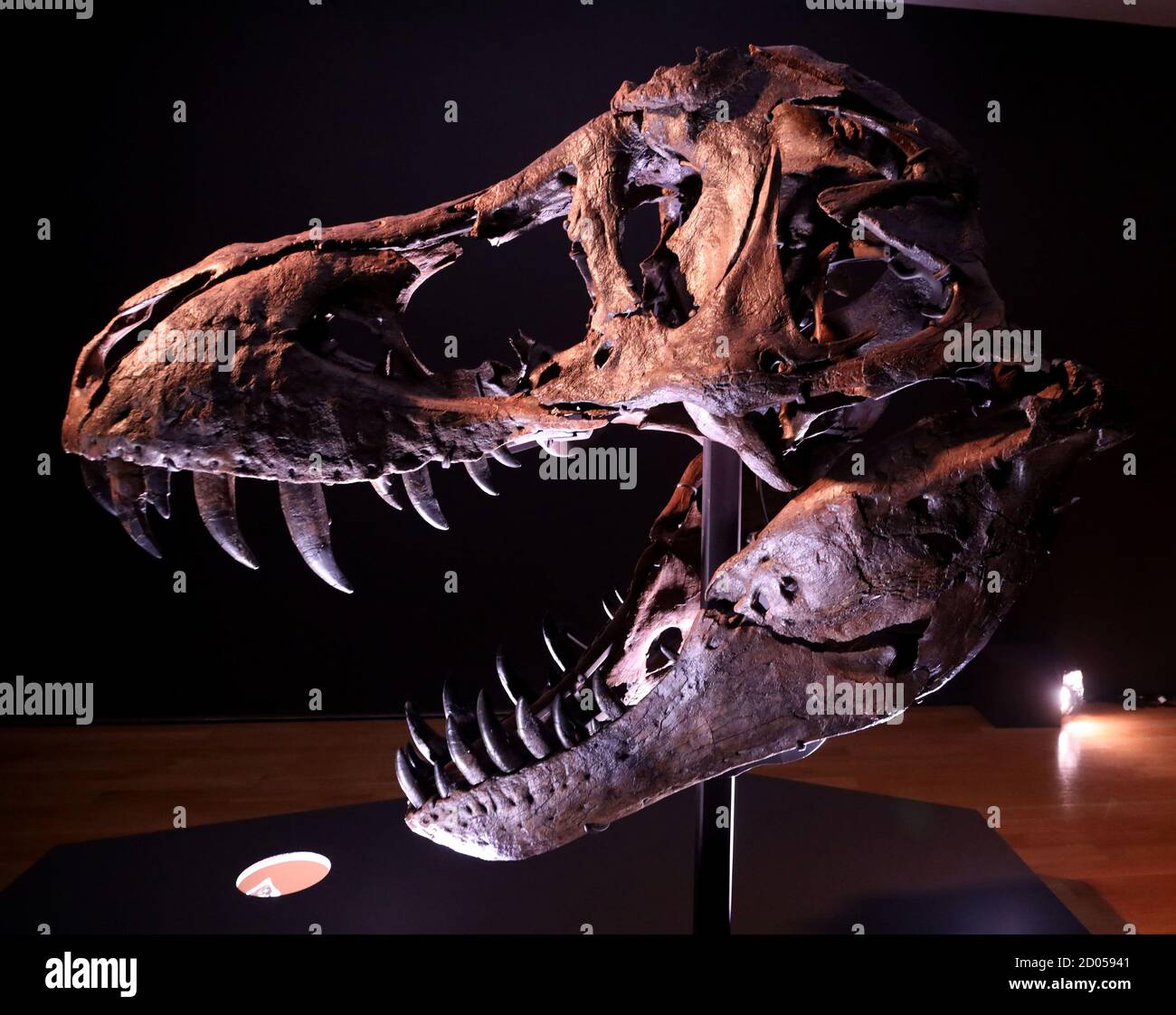 New York, New York, USA. 2nd Oct, 2020. A view of the original head of ...