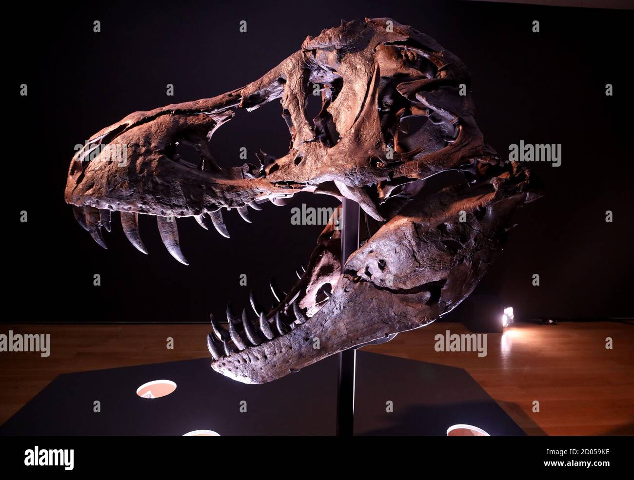 New York, New York, USA. 2nd Oct, 2020. A view of the original head of ...