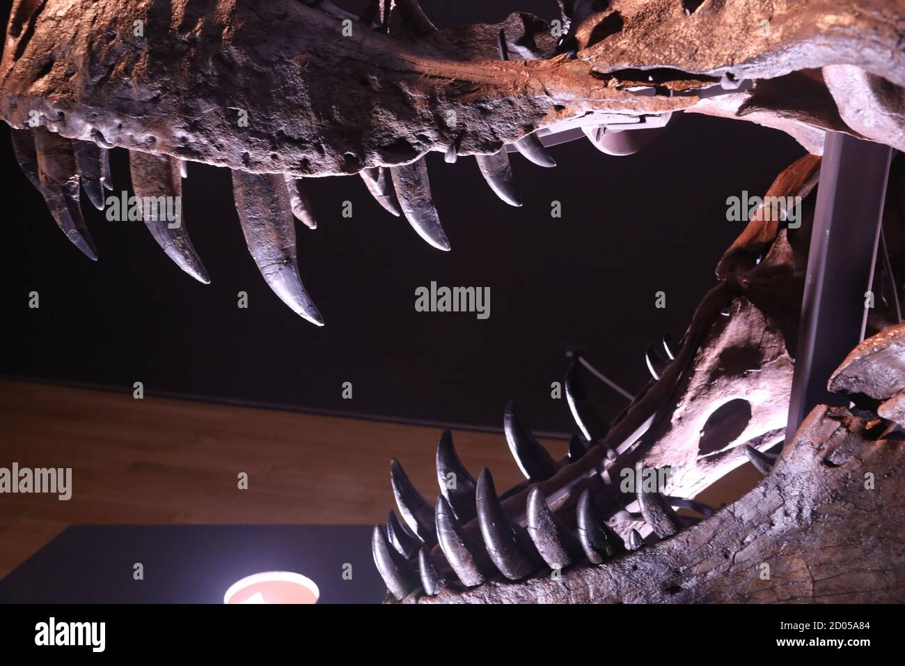 New York, New York, USA. 2nd Oct, 2020. A view of the original head of ...