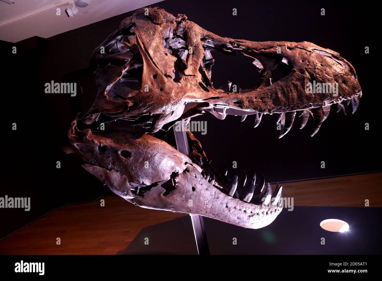 New York, New York, USA. 2nd Oct, 2020. A view of the original head of ...