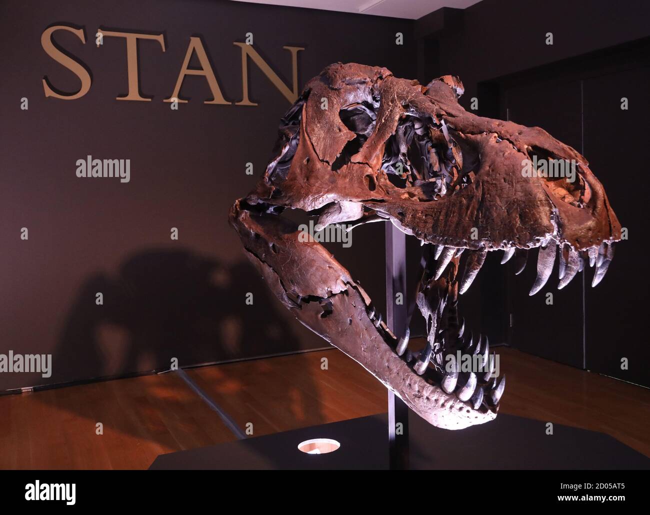 New York, New York, USA. 2nd Oct, 2020. A view of the original head of ...