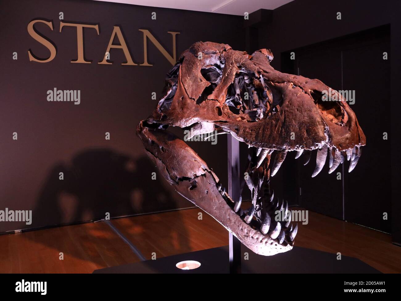 New York, New York, USA. 2nd Oct, 2020. A view of the original head of ...