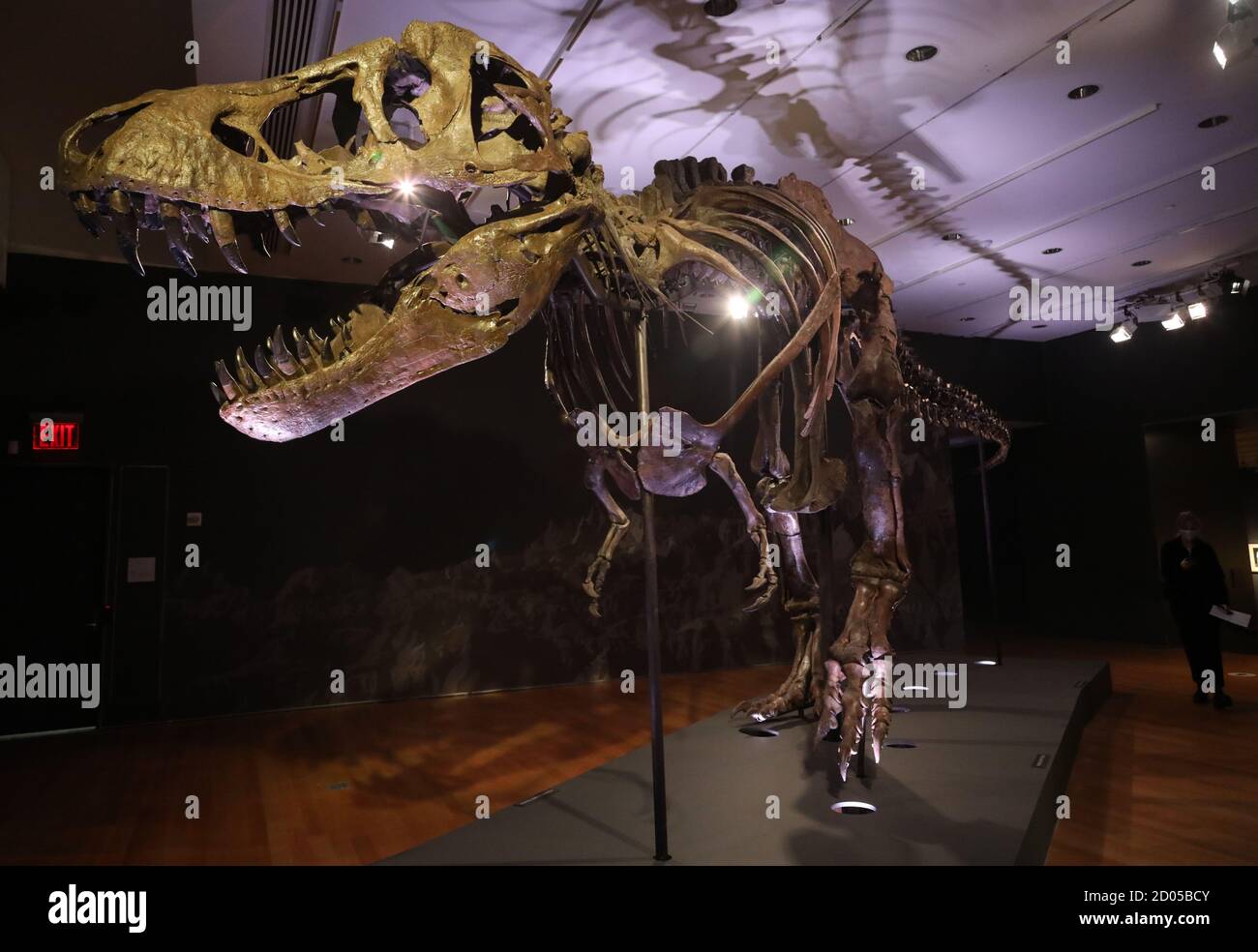 New York, New York, USA. 2nd Oct, 2020. A view of 'Stan the T.Rex' King ...