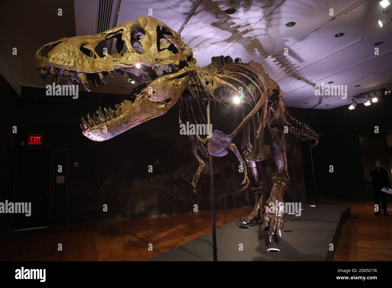 New York, New York, USA. 2nd Oct, 2020. A view of 'Stan the T.Rex' King ...