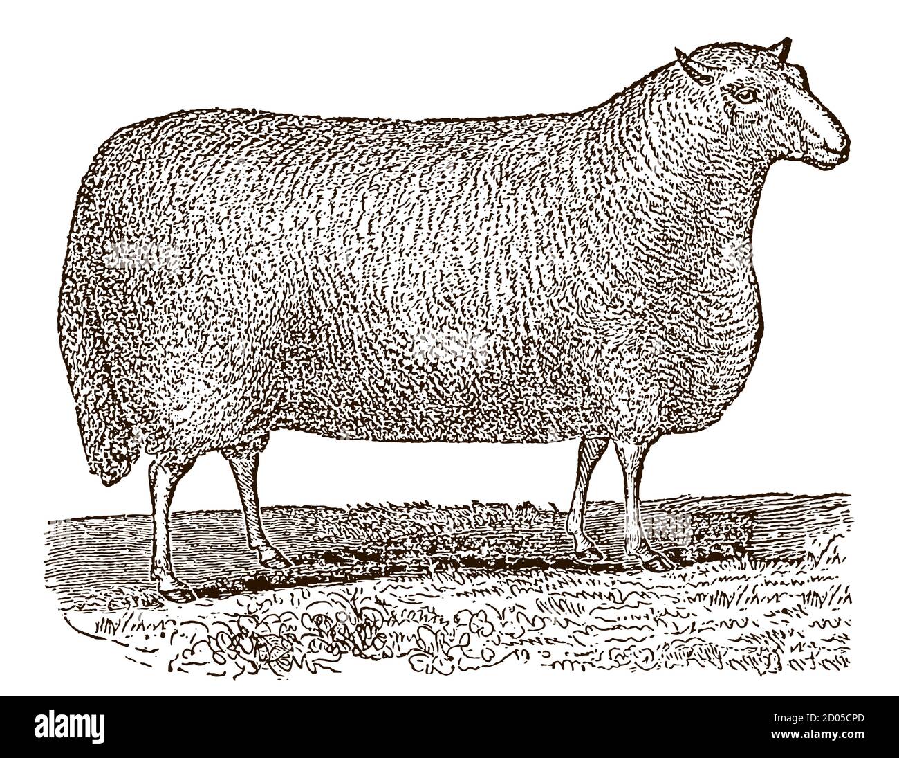 Cheviot view Stock Vector Images - Alamy