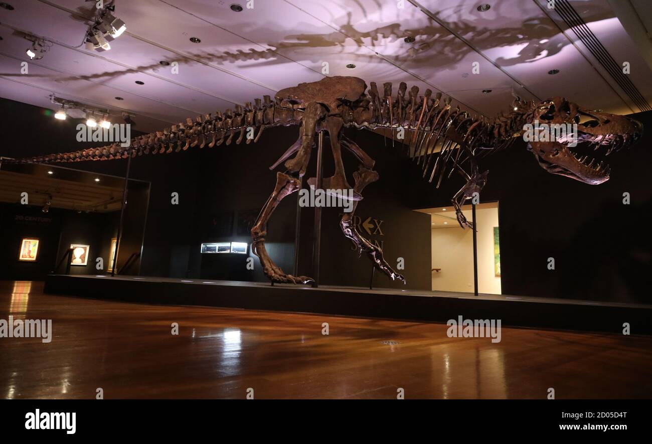 Stan sacrison paleontologist hi-res stock photography and images - Alamy