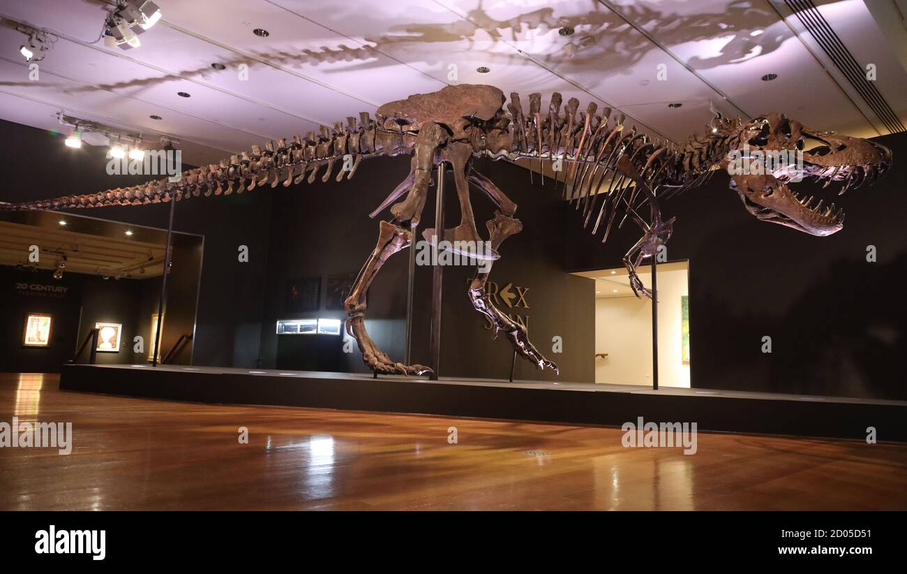 New York, New York, USA. 2nd Oct, 2020. A view of 'Stan the T.Rex' King ...