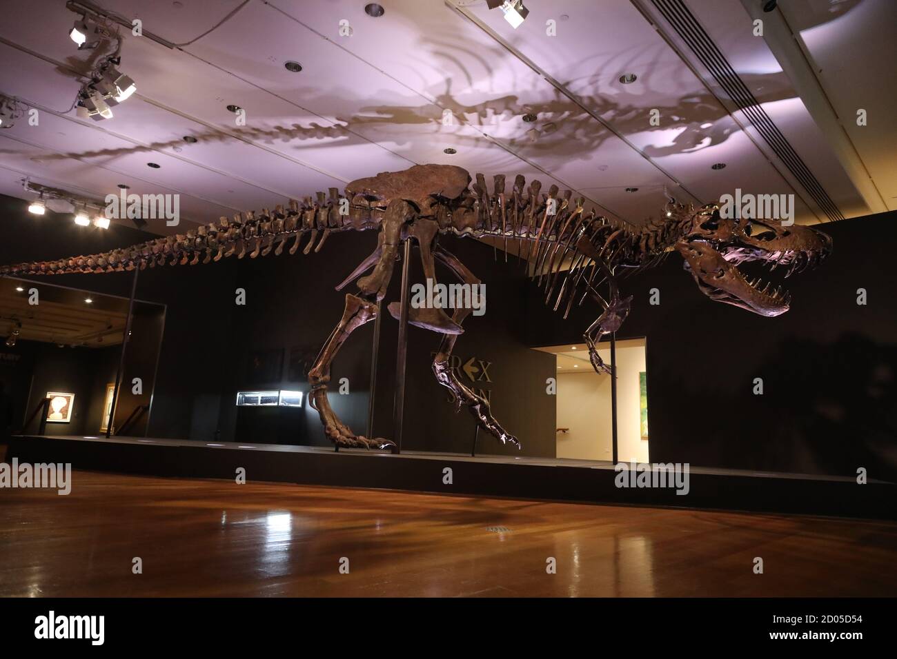 New York, New York, USA. 2nd Oct, 2020. A view of 'Stan the T.Rex' King ...