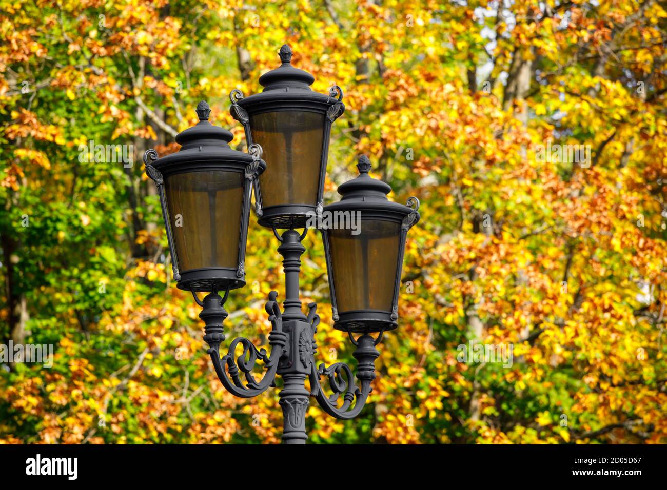 beautiful street lamp on a background of autumn leaves Stock Photo - Alamy