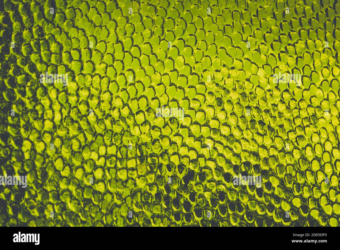 Green scales pattern hi-res stock photography and images - Alamy