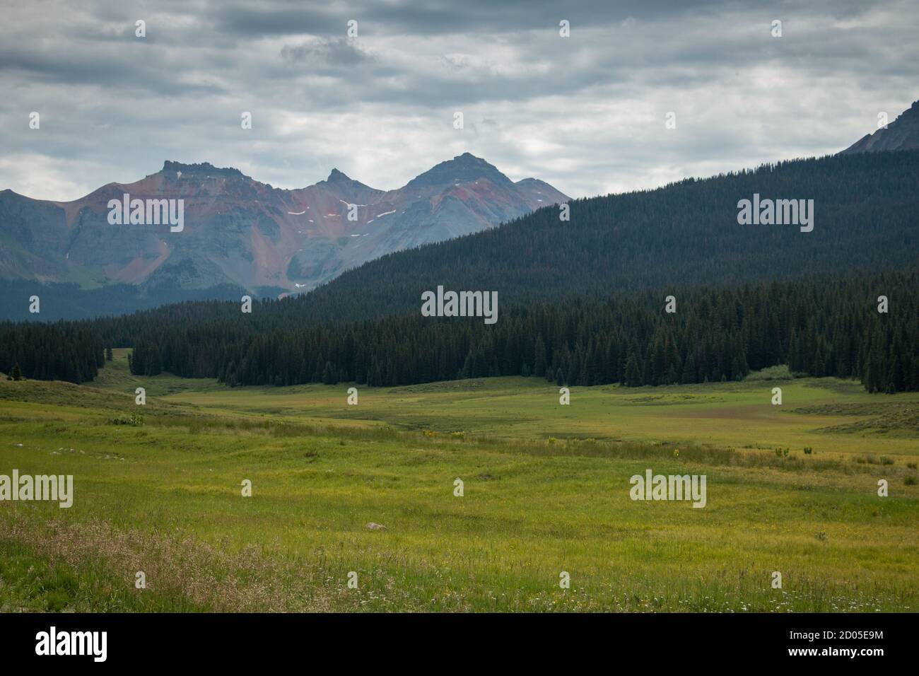 Wide open grassy landscapes in the mountains of Colorado Stock Photo ...