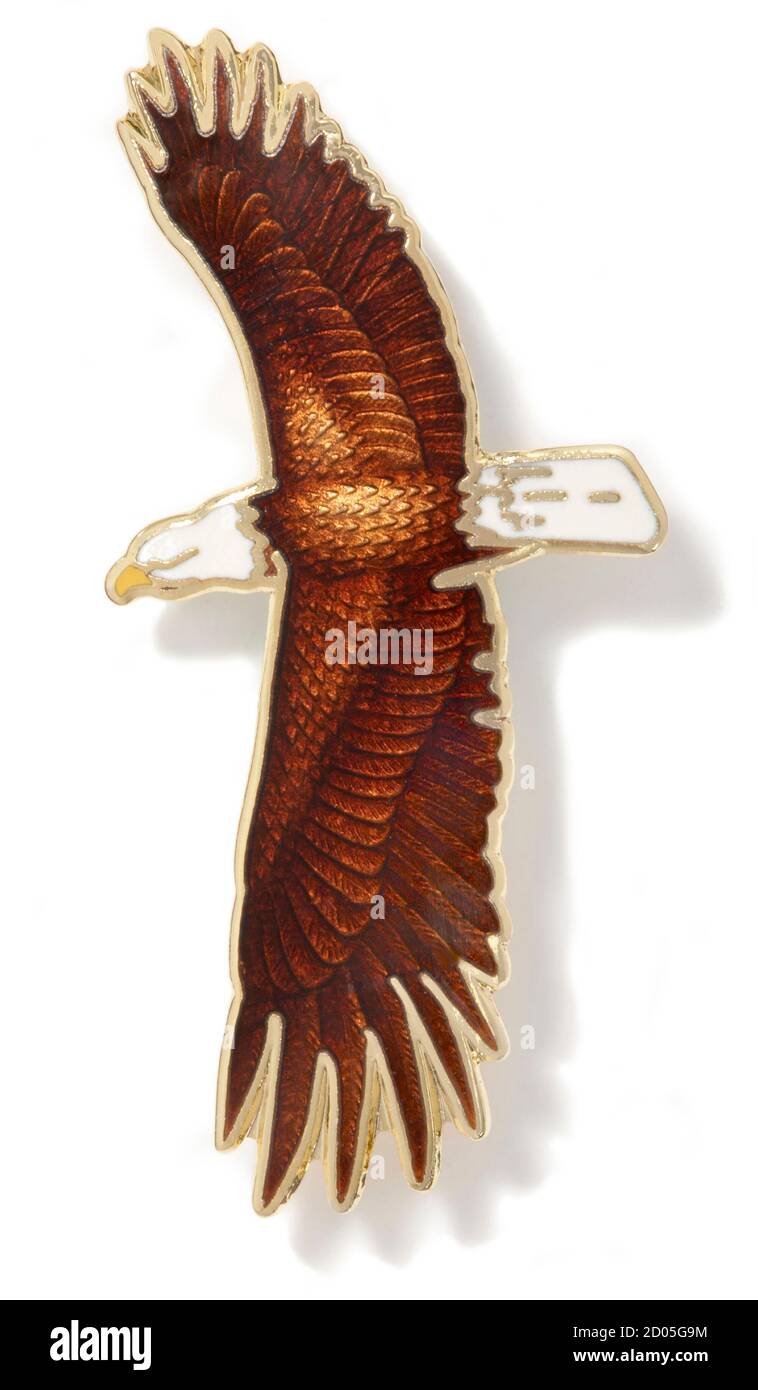Enamel bald eagle pin photographed on a white background . . https ...