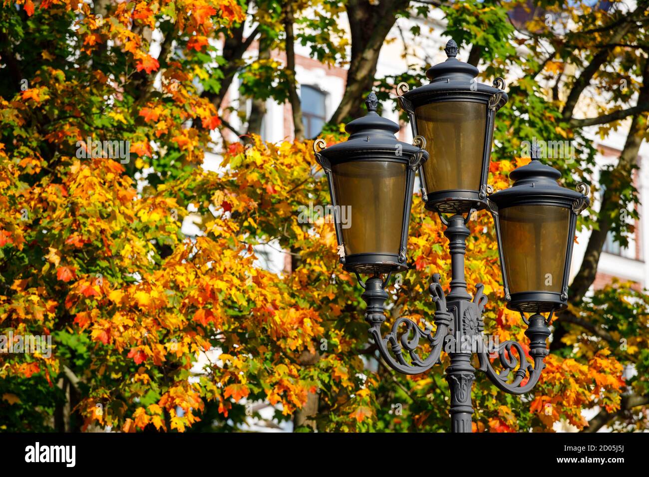 beautiful street lamp on a background of autumn leaves Stock Photo - Alamy