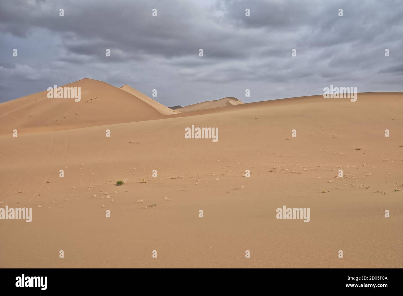Moving and stationary sand dunes-Badain Jaran Desert. Alxa Plateau ...