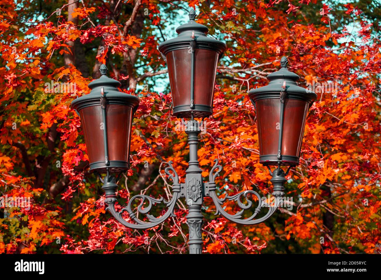 beautiful street lamp on a background of autumn leaves Stock Photo - Alamy